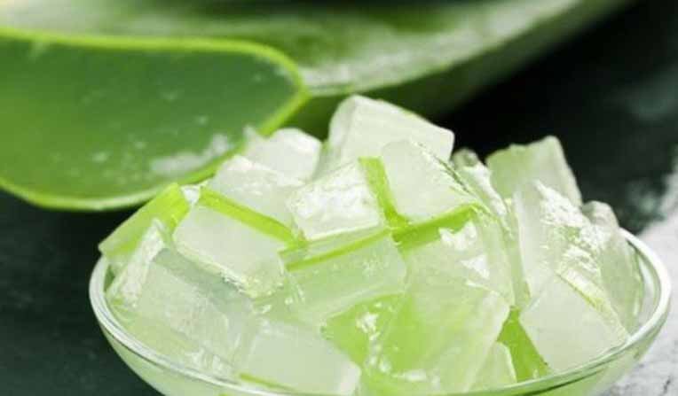 Use Aloe Vera Ice Cubes For Sunburn And Bites How To Do Everything