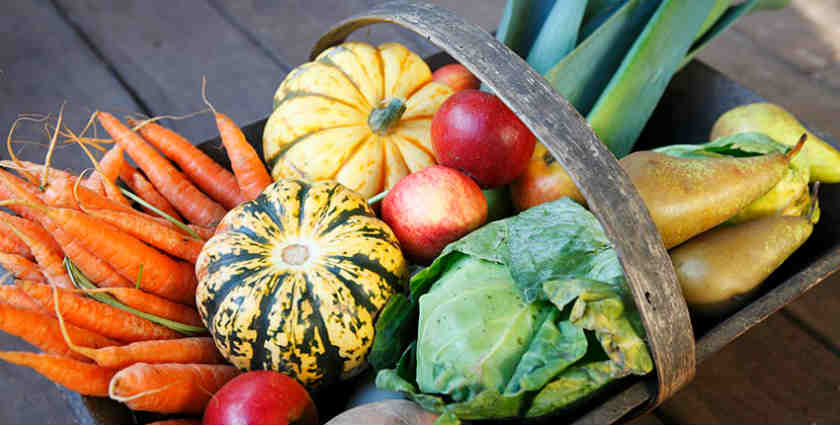 How to store vegetables correctly