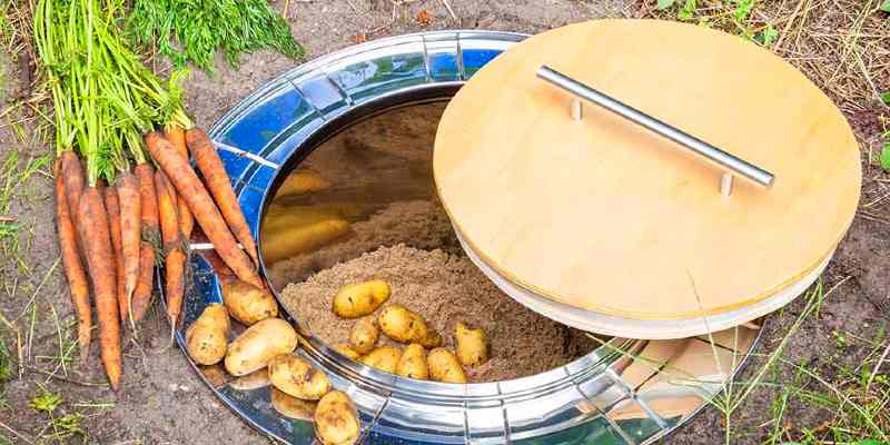 How to build a root cellar for the backyard