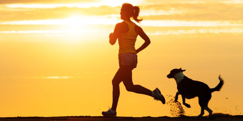 How to keep pets active and healthy during the Covid-19 pandemic
