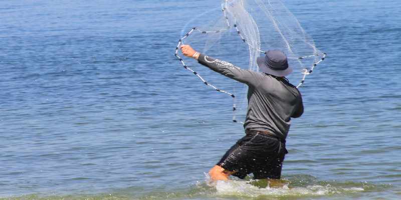 How to throw a cast net step by step and expert tips for casting